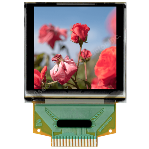 Full Color OLED Displays | Display Logic